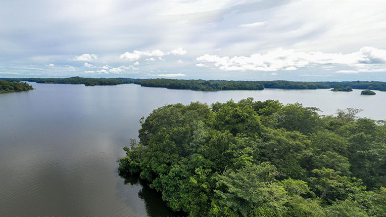 Journey into the Congo Basin – The Lungs of Africa and Beating Heart of ...