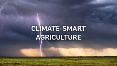 Agriculture and Food: What We Do