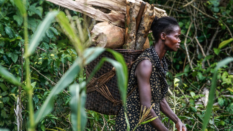 Democratic Republic of Congo: Development news, research, data | World Bank