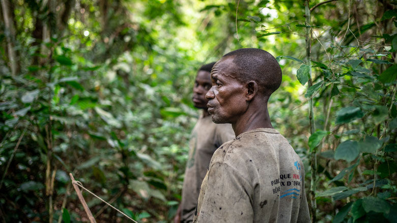 En République démocratique du Congo, des solutions à la dégradation des ...