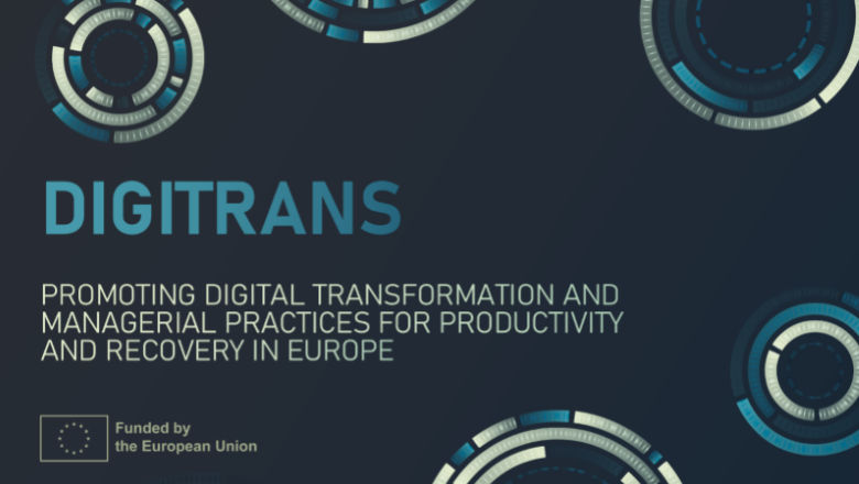 EU Digital Transition Missing Link