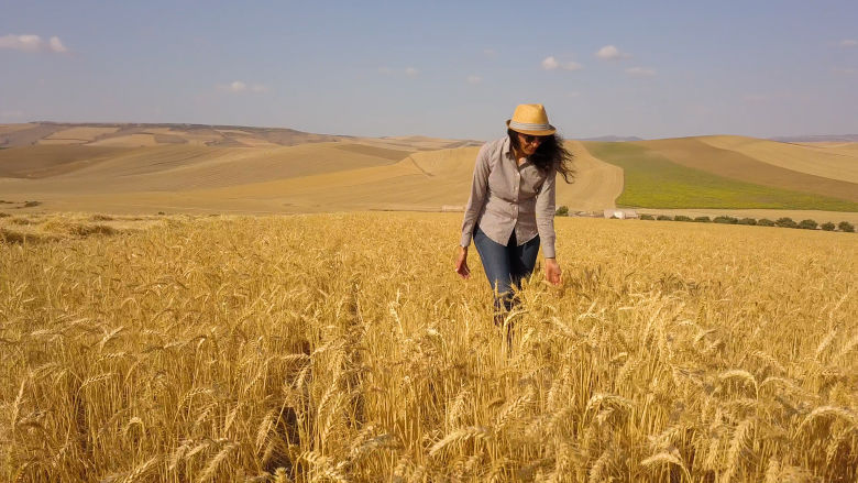 Moroccan Farmers Search for Solutions in the Face of Climate Change