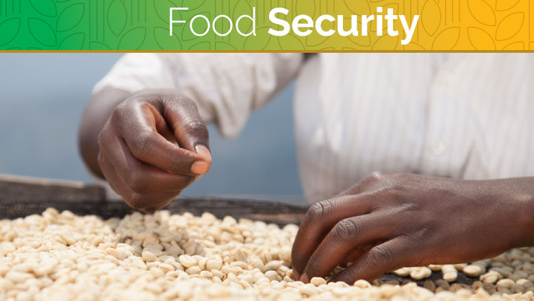 Opinion & News | Food Insecurity & International Development
