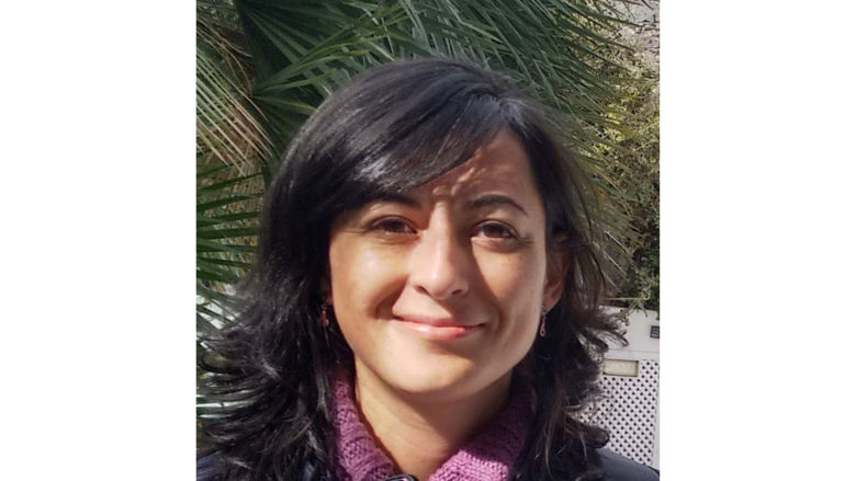 Guidelines to Small Area Estimation for Poverty Mapping