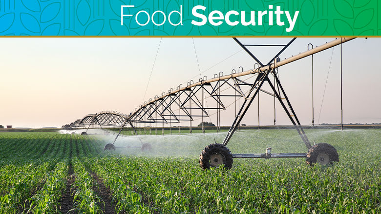 Food Security | Rising Food Insecurity in 2023