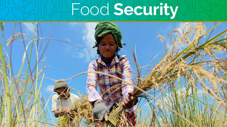 Opinion & News | Food Insecurity & International Development