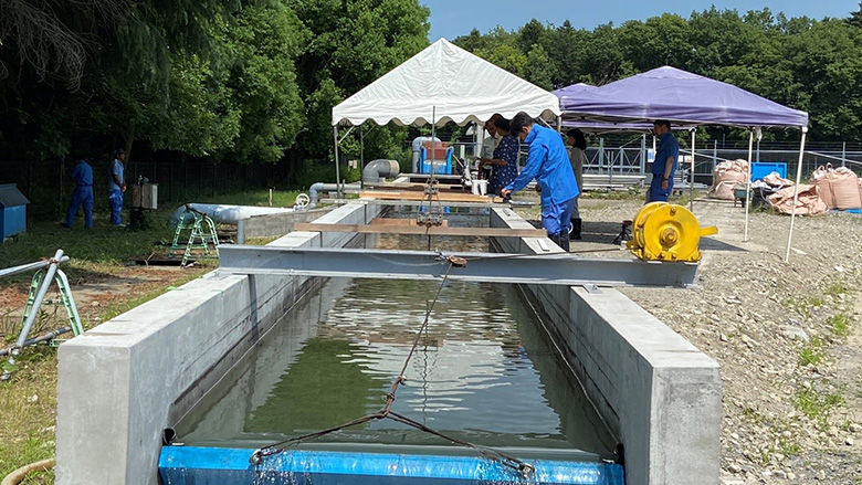 Sharing Japanese Technologies on Physical Hydraulic Modeling of Large ...