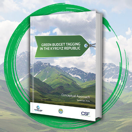 Green Budget Tagging in the Kyrgyz Republic: Conceptual Approach