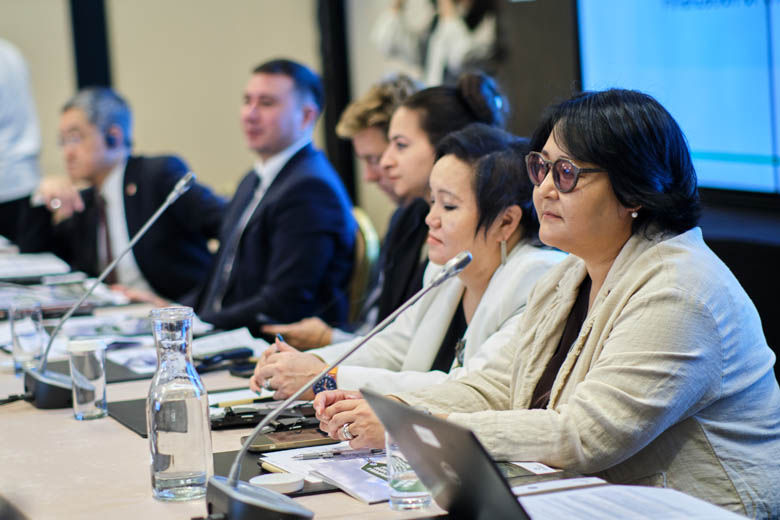 Green Budget Tagging in the Kyrgyz Republic: Conceptual Approach