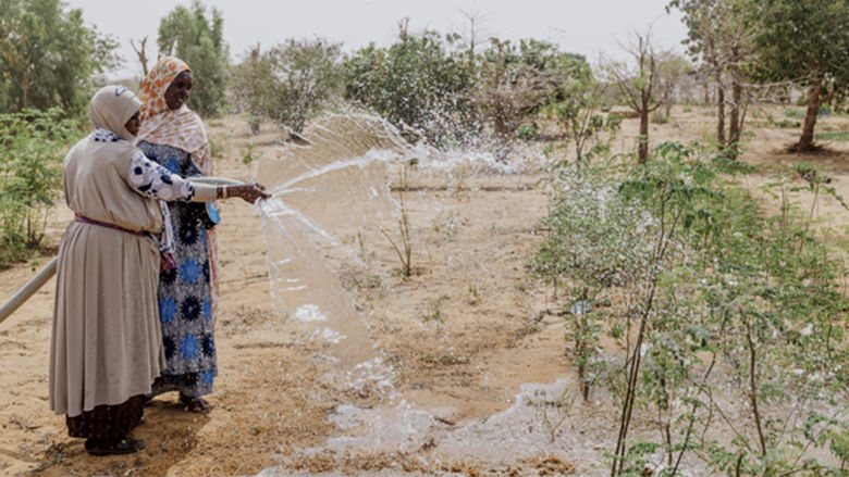 Satellites and social protection helping prevent food insecurity in Niger