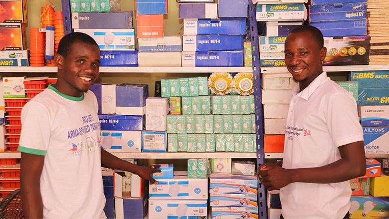 Securing Electricity in Niger Through Renewable Energy