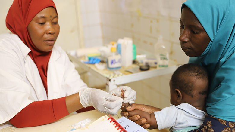 Securing Electricity in Niger Through Renewable Energy