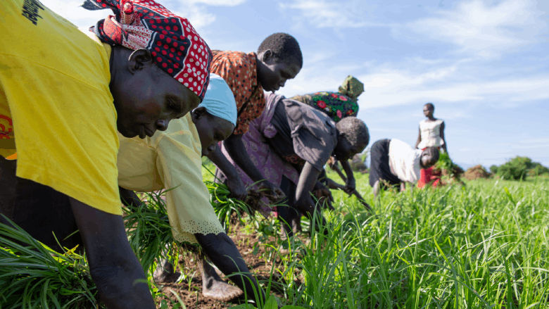 A New Strategy for Tackling Food and Nutrition Security Crises in South ...