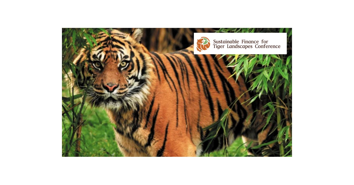 Event | Sustainable finance for tiger landscapes conference