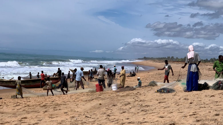 Board Approves Panel Recommendation to Investigate Togo, WACA ...