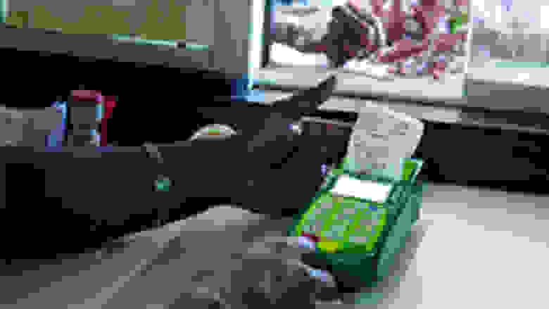 Global Standard-Setting Bodies and Financial Inclusion: The Evolving ...