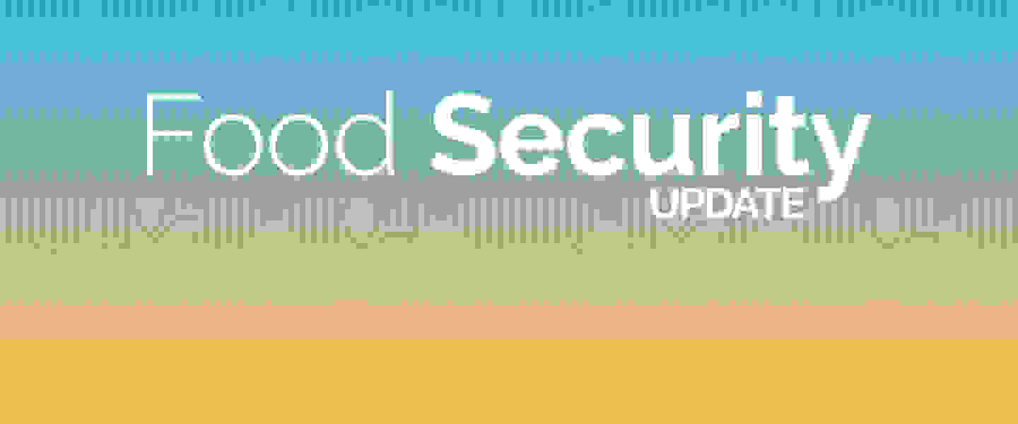 Food security focus areas | Response to the global food security crisis